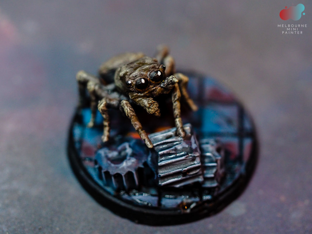 Giant Jumping Spiders 3D model 3D printable | CGTrader