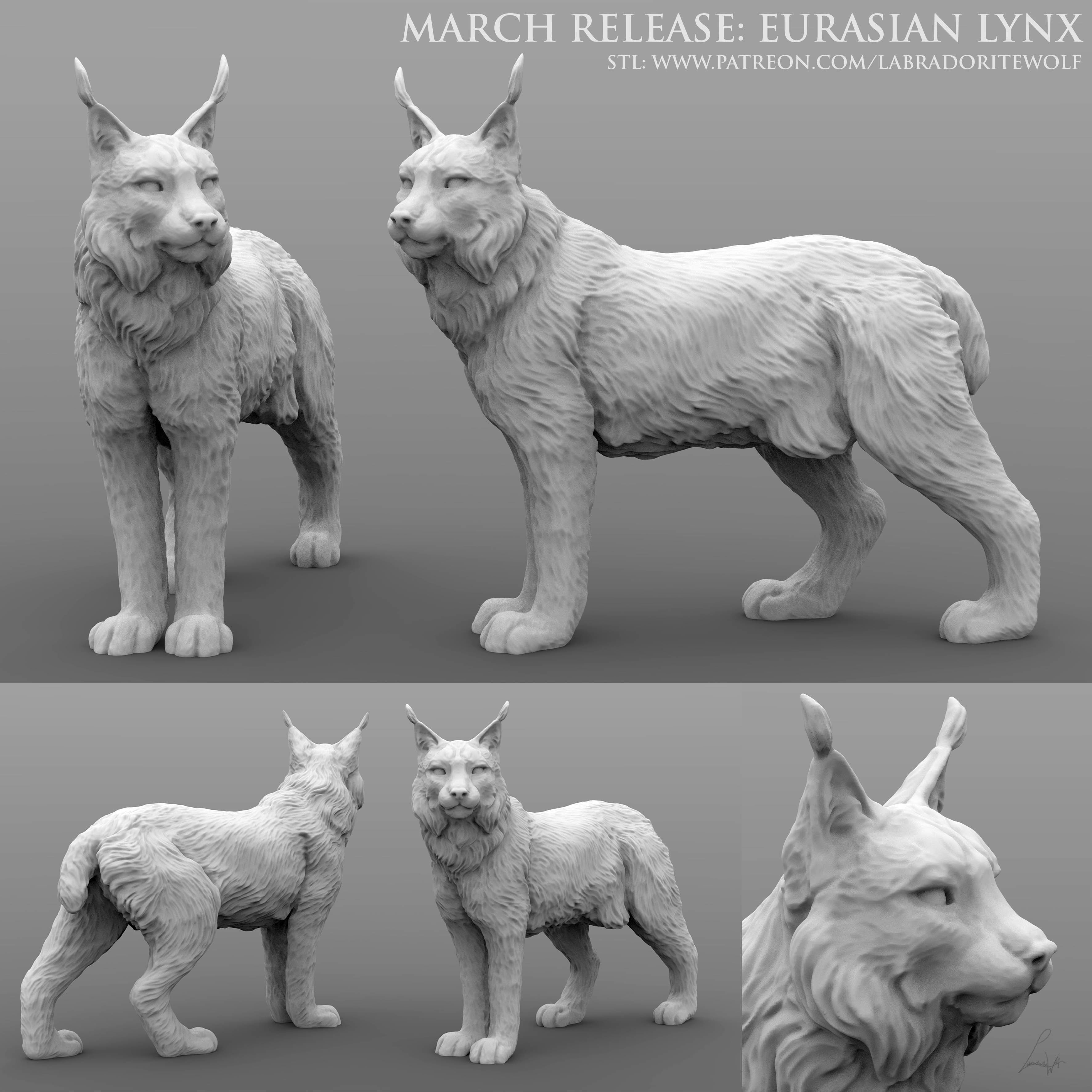 Eurasian Lynx 3D model 3D printable | CGTrader