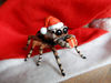 Giant Jumping Spider Santa 3D model 3D printable | CGTrader