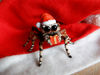Giant Jumping Spider Santa 3D model 3D printable | CGTrader