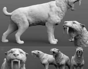 Smilodon 3D Models | CGTrader