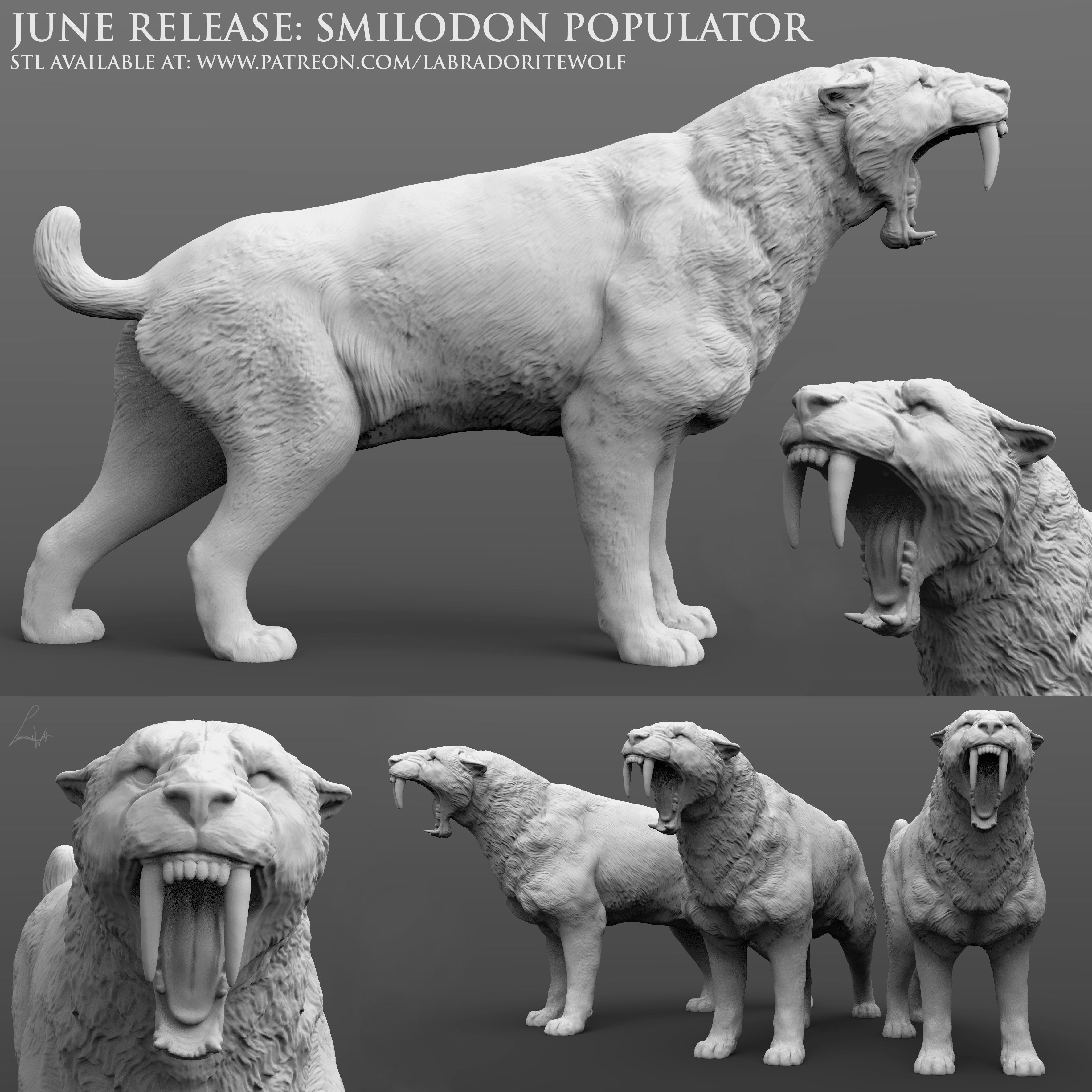 Smilodon populator Saber-Toothed Tiger roaring 3D model 3D printable ...