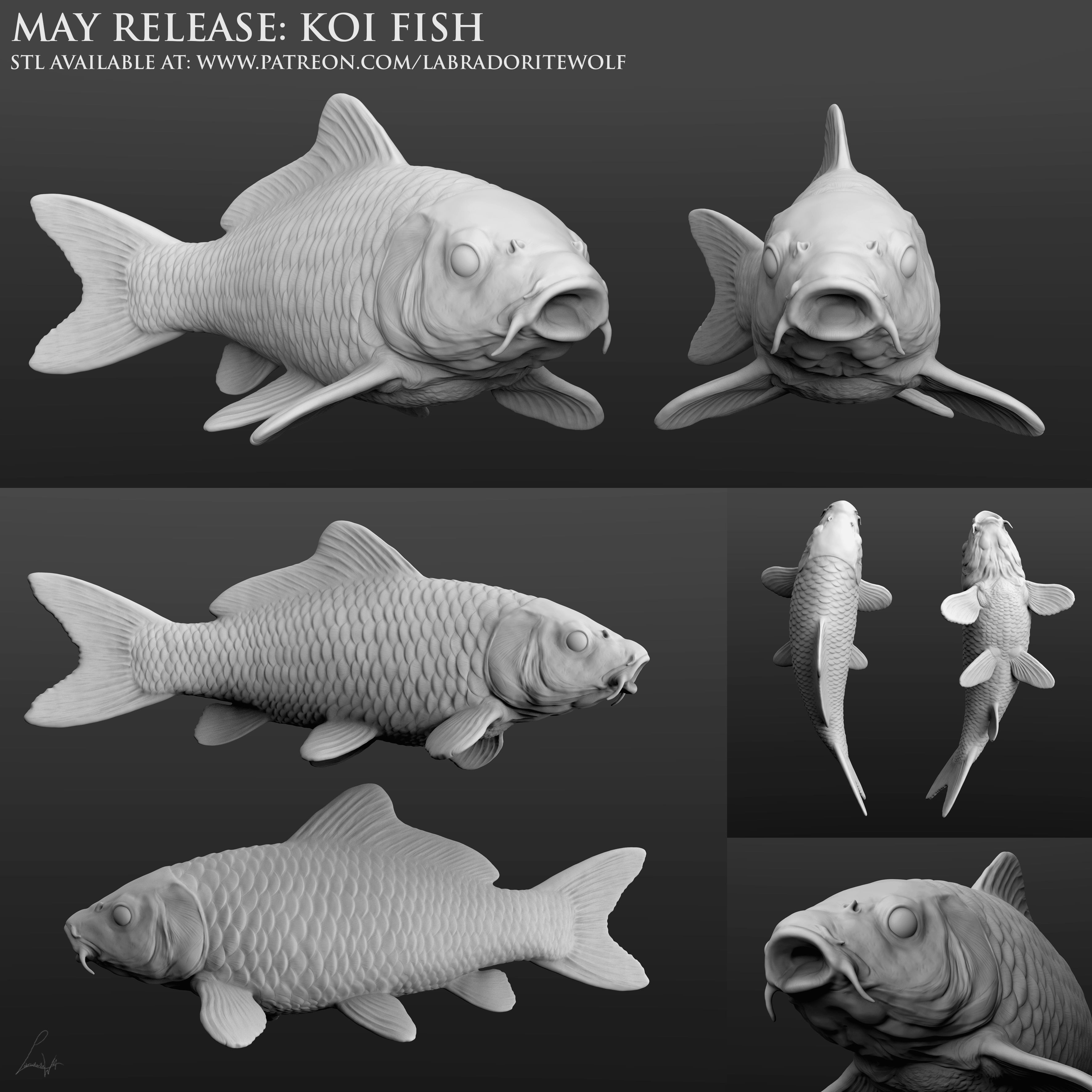 Koi Fish 3D model 3D printable | CGTrader