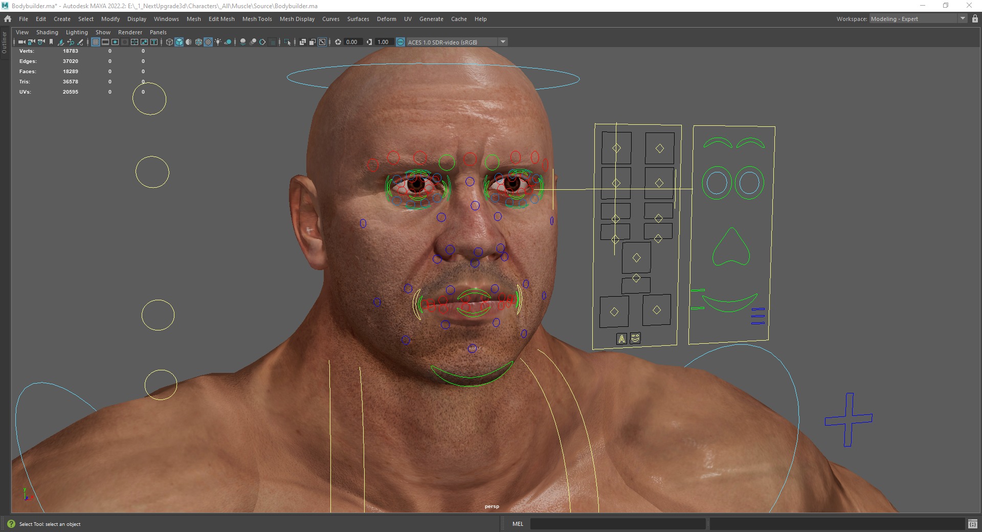 3D model Realistic Male Bodybuilder 3D HQ VR / AR / low-poly | CGTrader