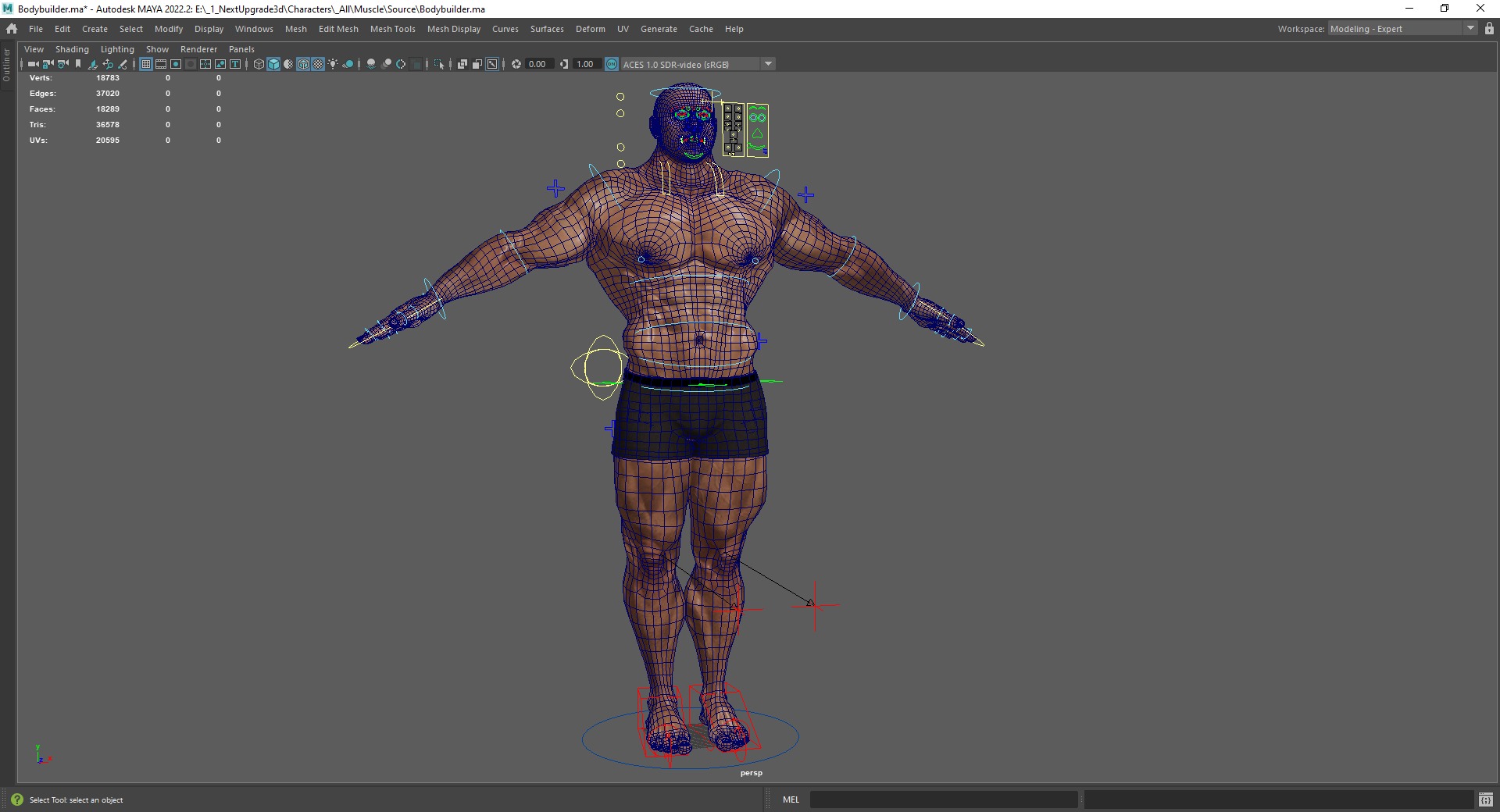 3D model Realistic Male Bodybuilder 3D HQ VR / AR / low-poly | CGTrader