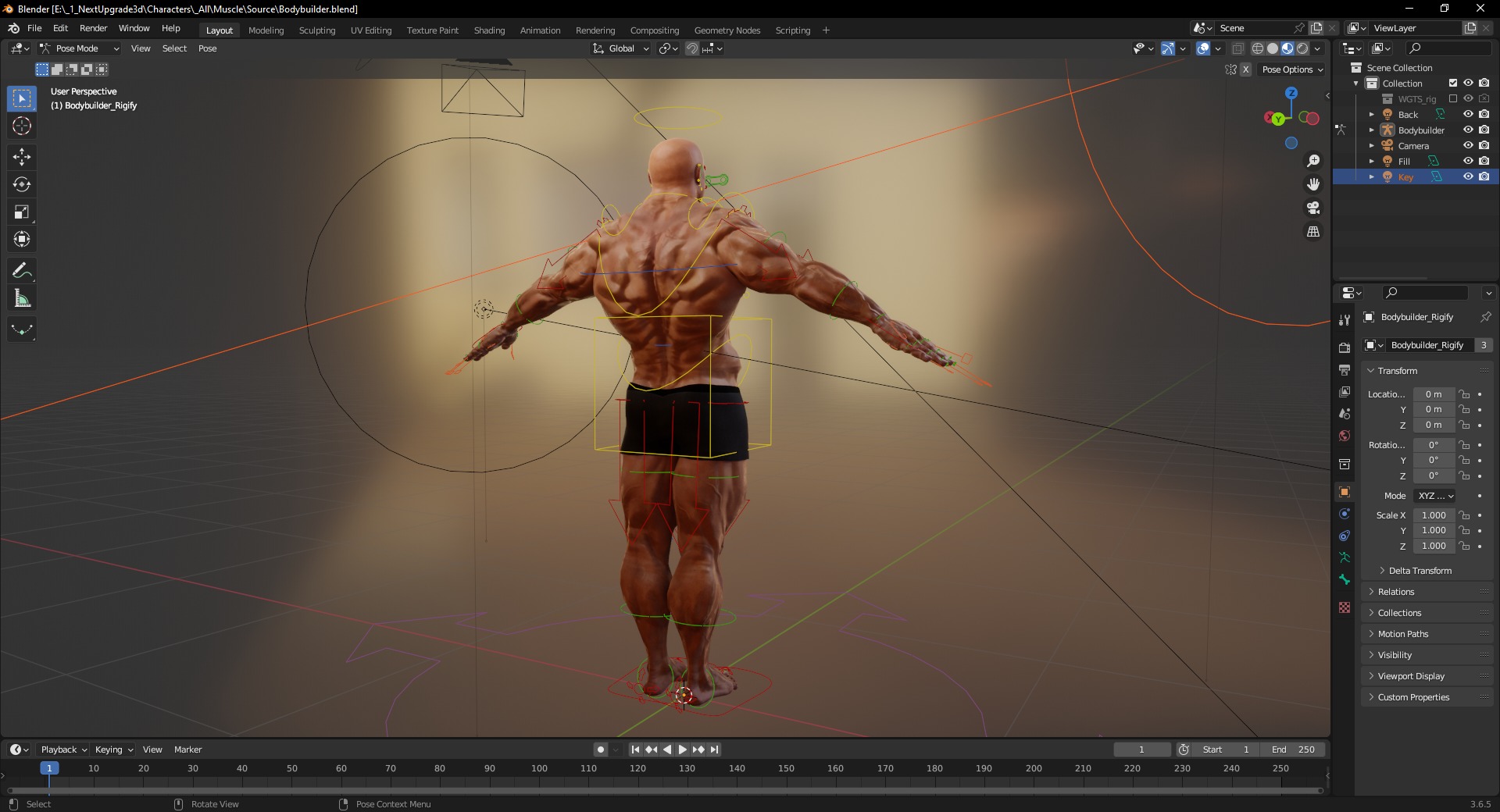 3D model Realistic Male Bodybuilder 3D HQ VR / AR / low-poly | CGTrader
