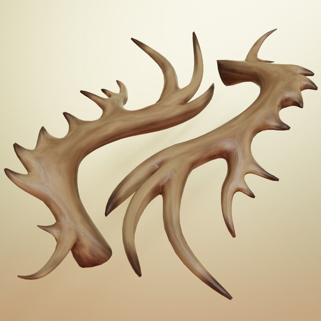 Antler Fantasy free VR / AR / low-poly 3D model | CGTrader