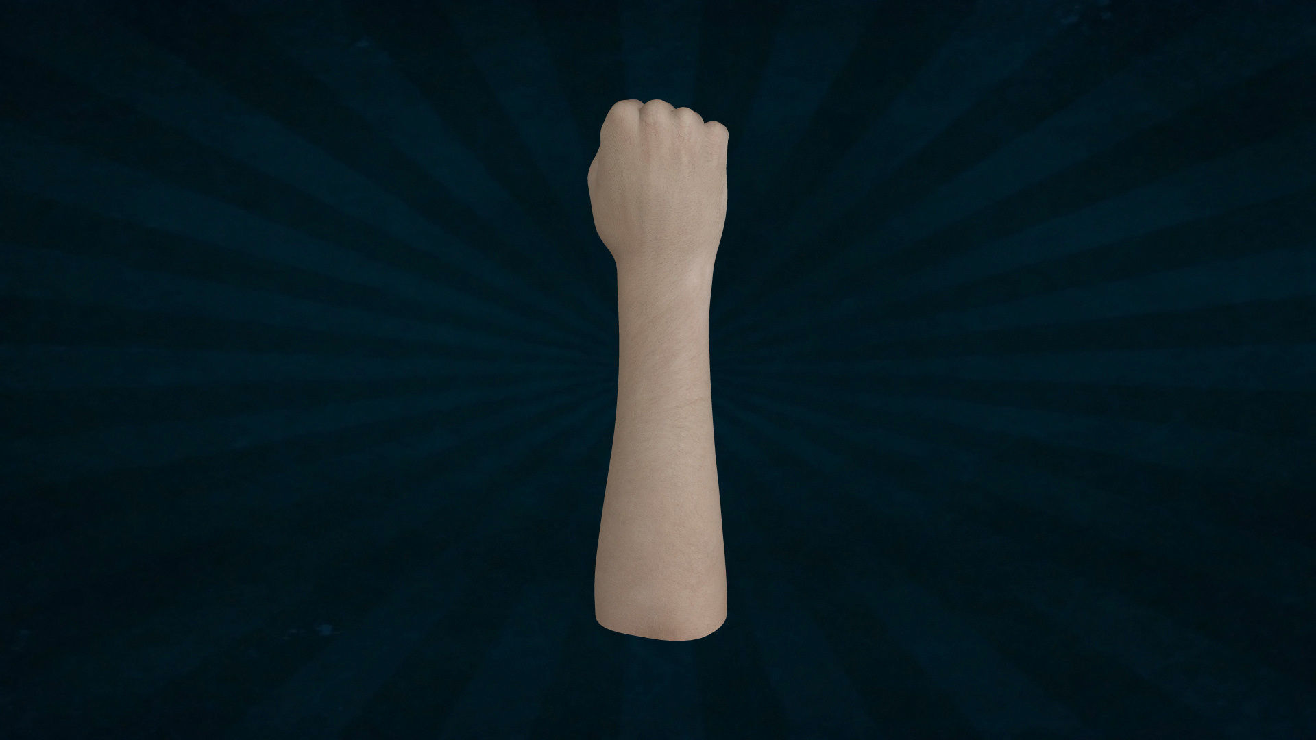 3D model HAND-039 Right hand fist VR / AR / low-poly | CGTrader