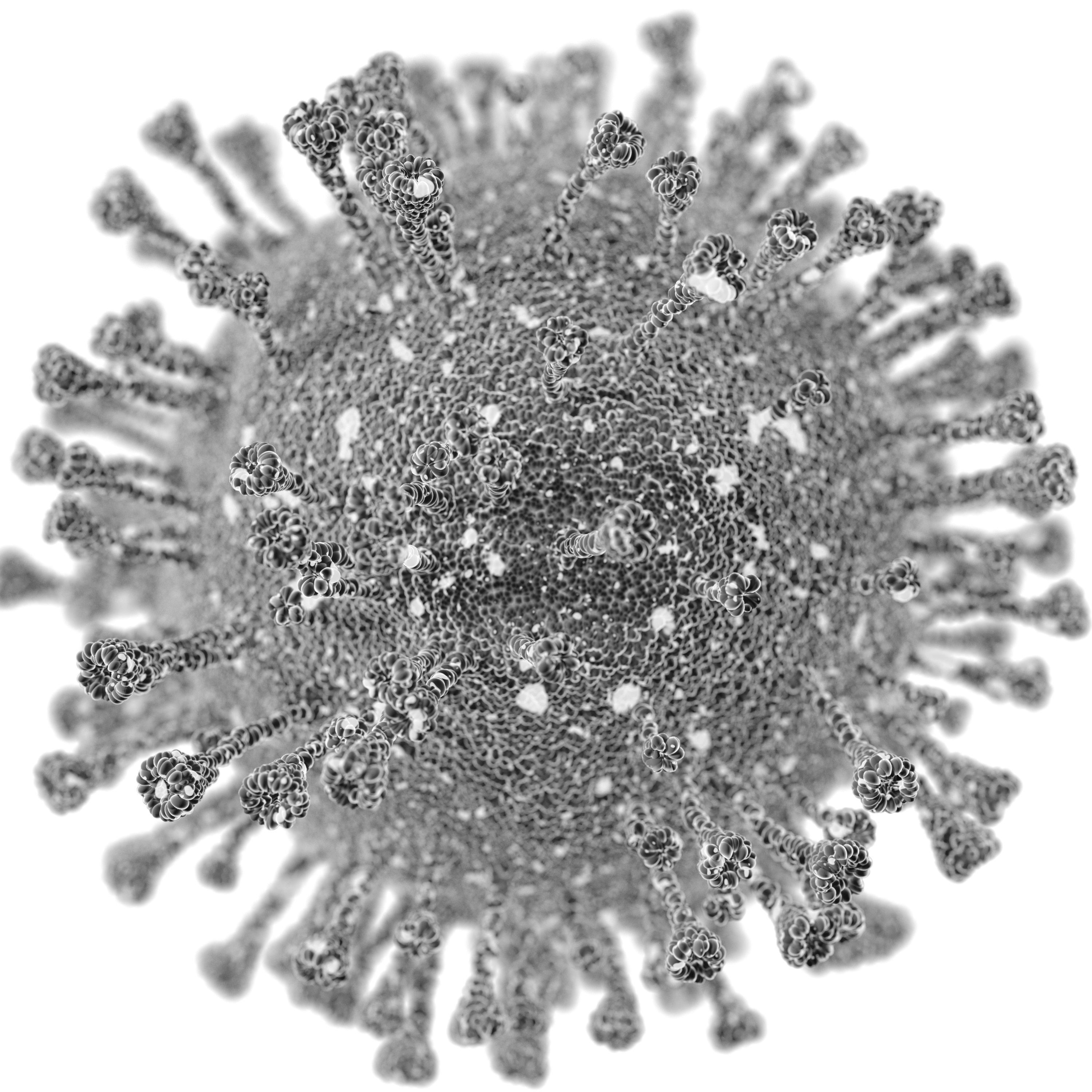 3D model Coronavirus 2019-nCoV Electron Microscopy free 3D model | CGTrader