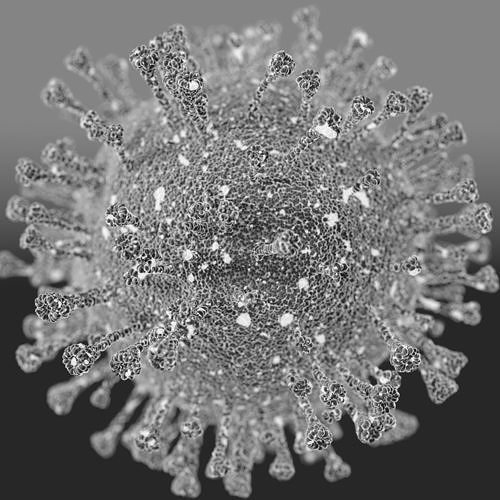 3D model Coronavirus 2019-nCoV Electron Microscopy free 3D model | CGTrader
