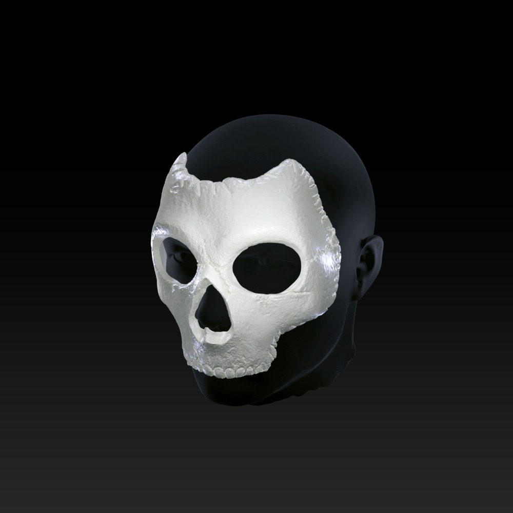 GHOST MASK FROM CALL OF DUTY MW 3D model 3D printable | CGTrader