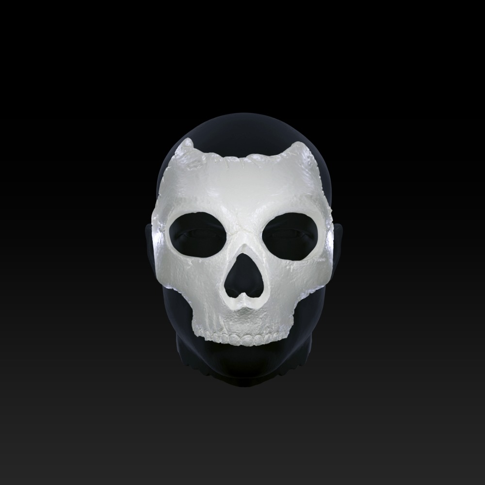 GHOST MASK FROM CALL OF DUTY MW 3D model 3D printable | CGTrader