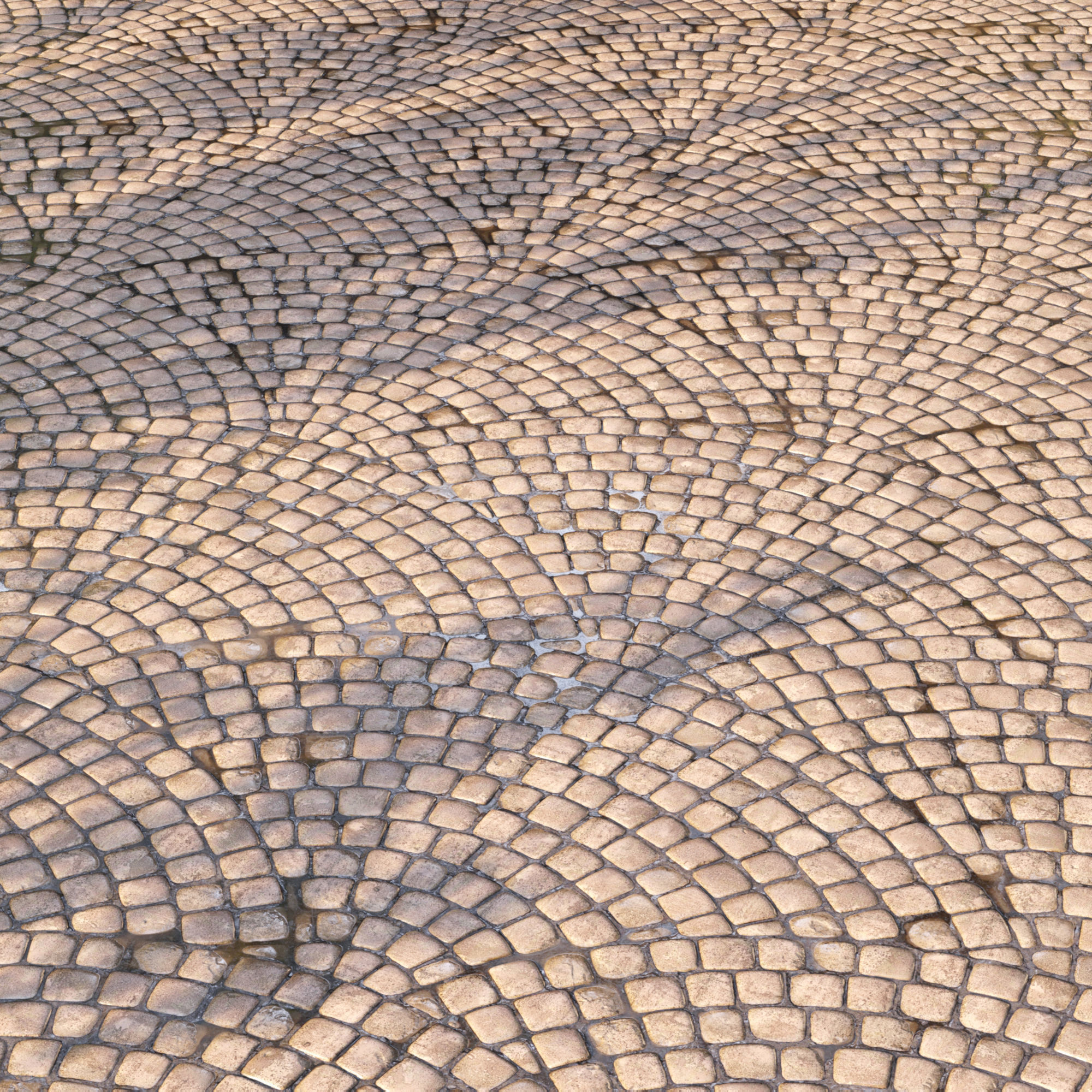 Texture Mrf Wet Pavement Set09 VR / AR / low-poly | CGTrader