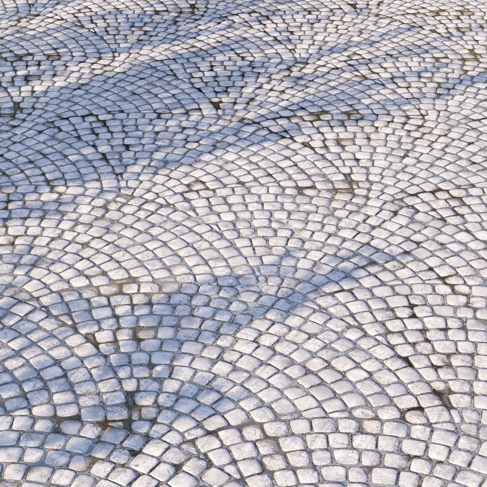 Texture Mrf Wet Pavement Set09 VR / AR / low-poly | CGTrader