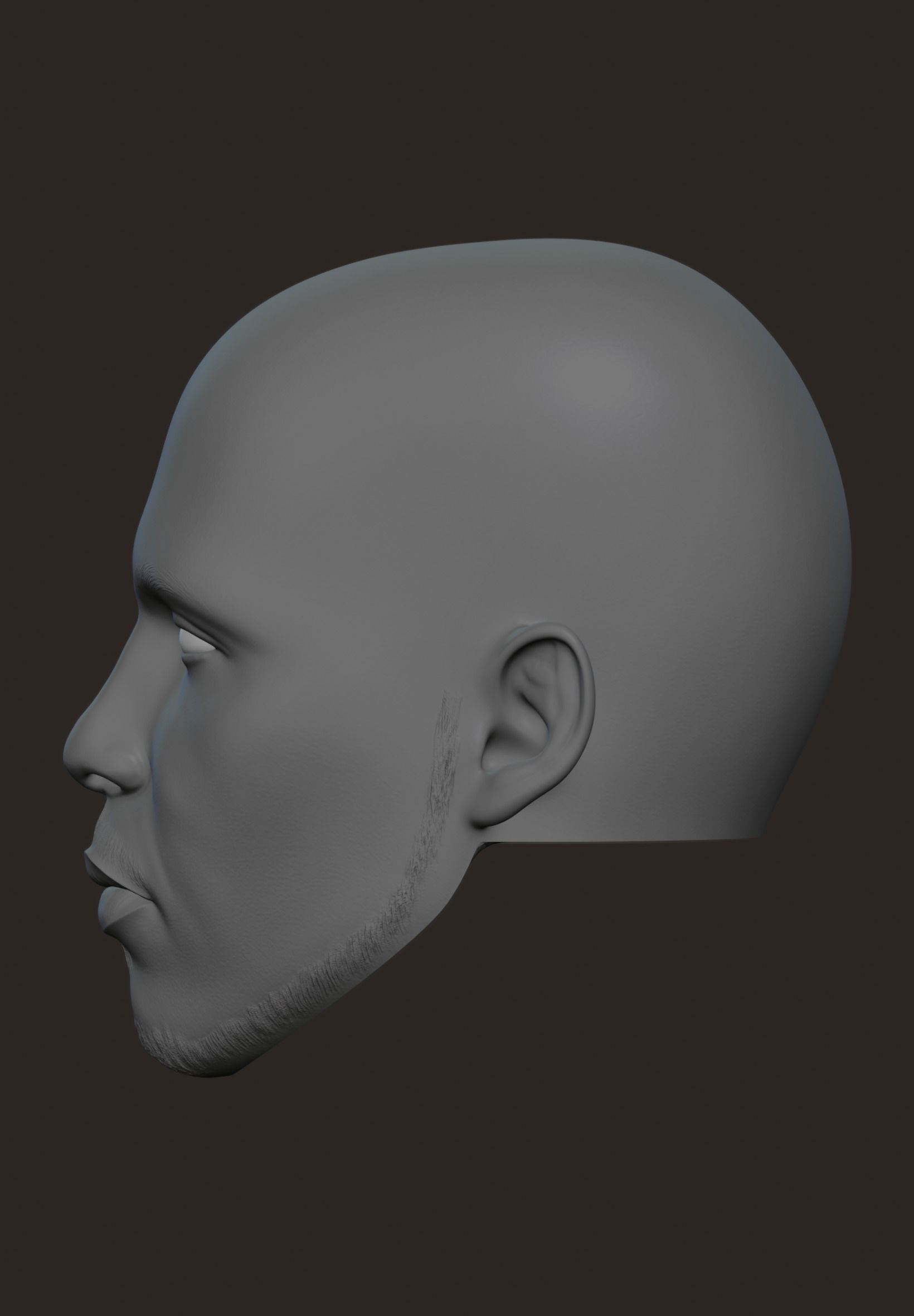 DMX Head Sculpt 3D model 3D printable | CGTrader