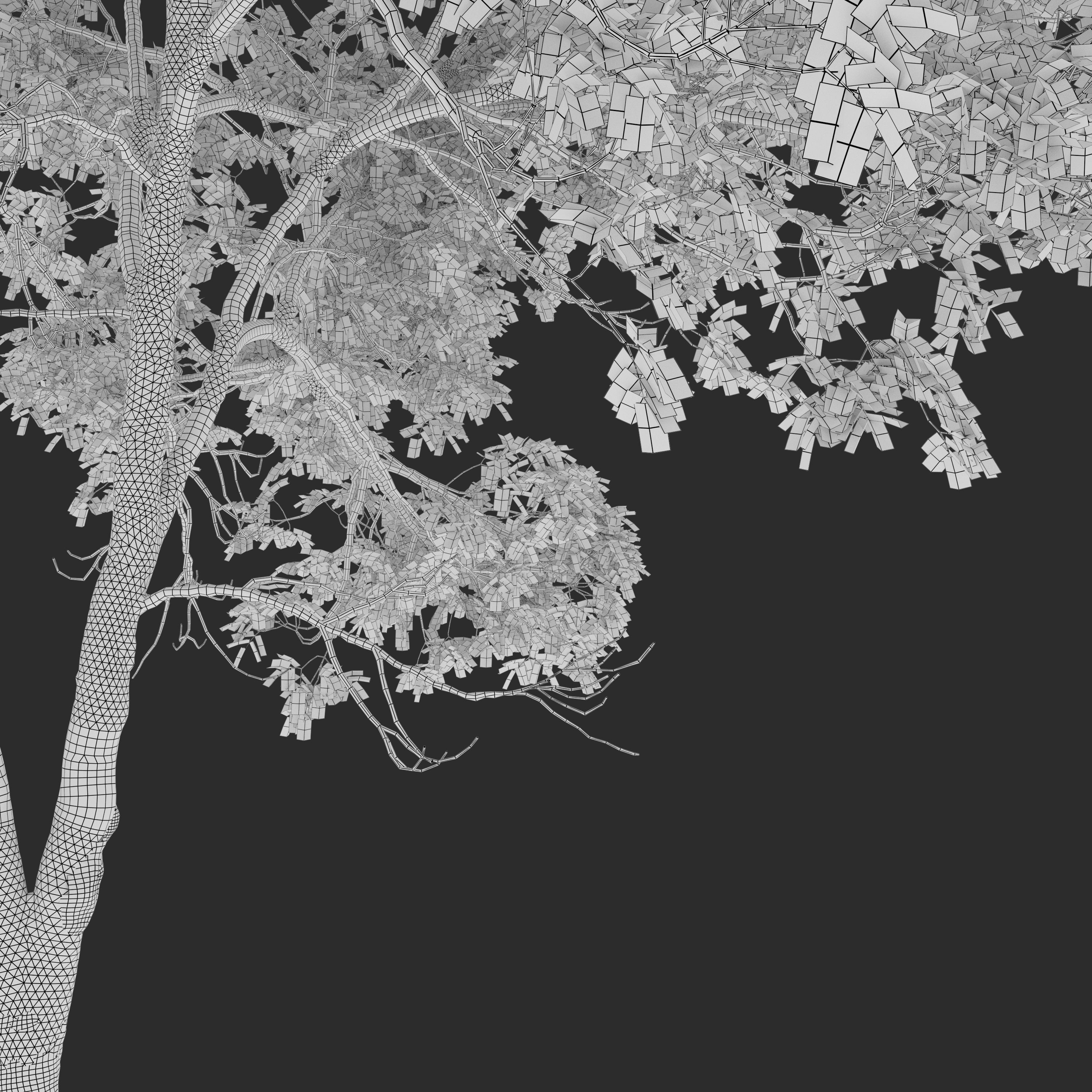 Hickory tree 05 3D model | CGTrader