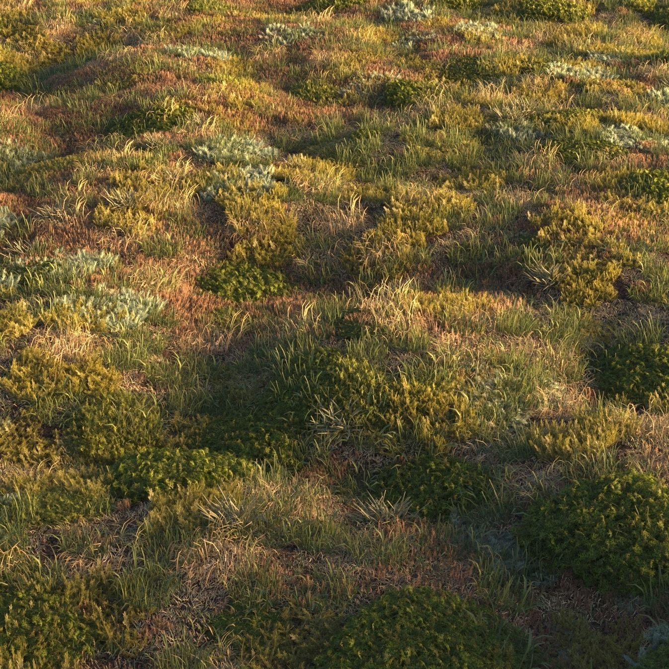 Forest grass 3D model | CGTrader