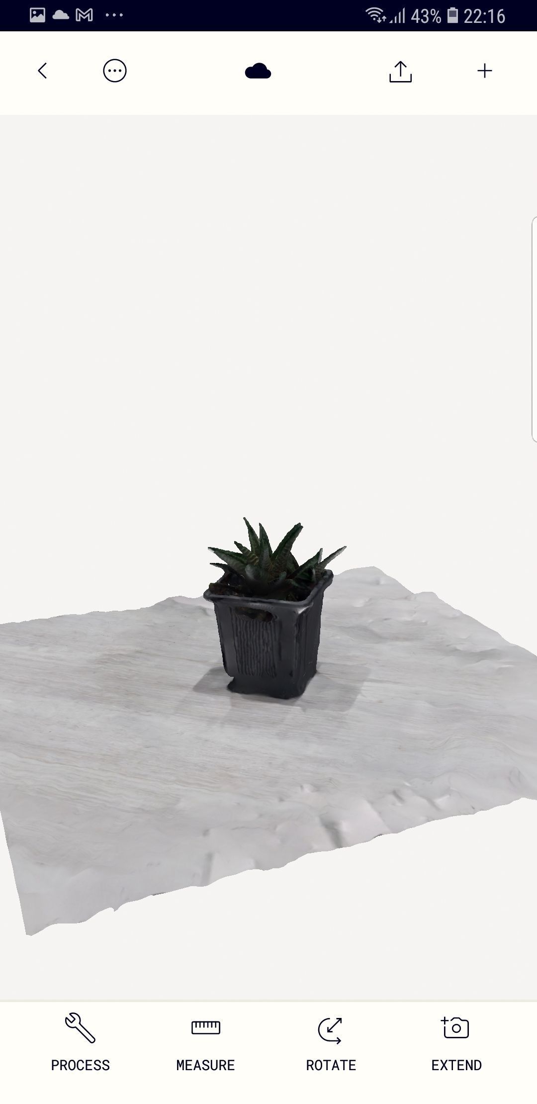 small potted plant 3d scan 3D model | CGTrader