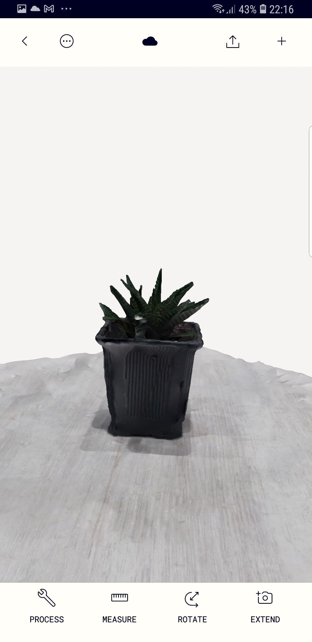 small potted plant 3d scan 3D model | CGTrader