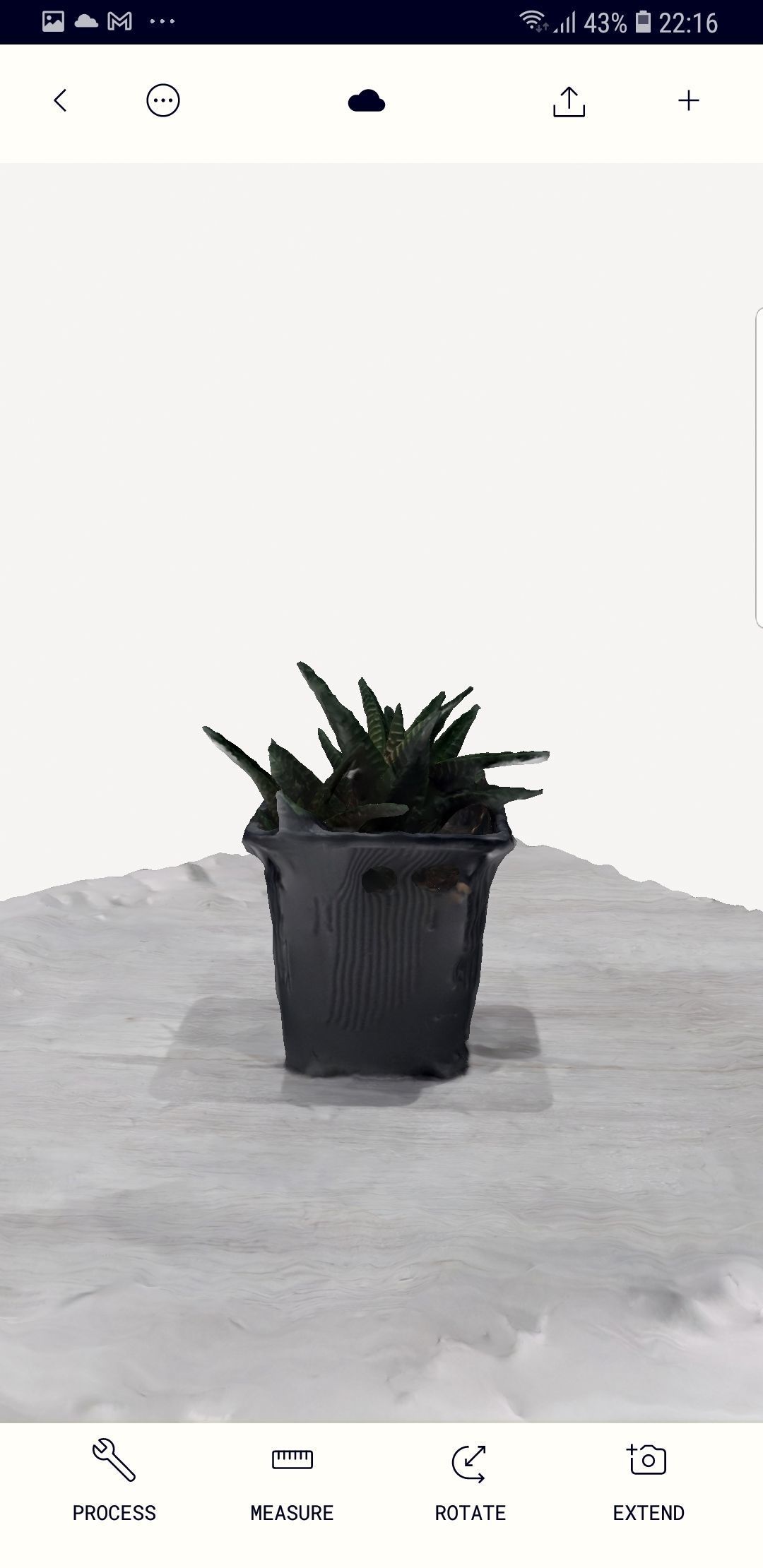 small potted plant 3d scan 3D model | CGTrader
