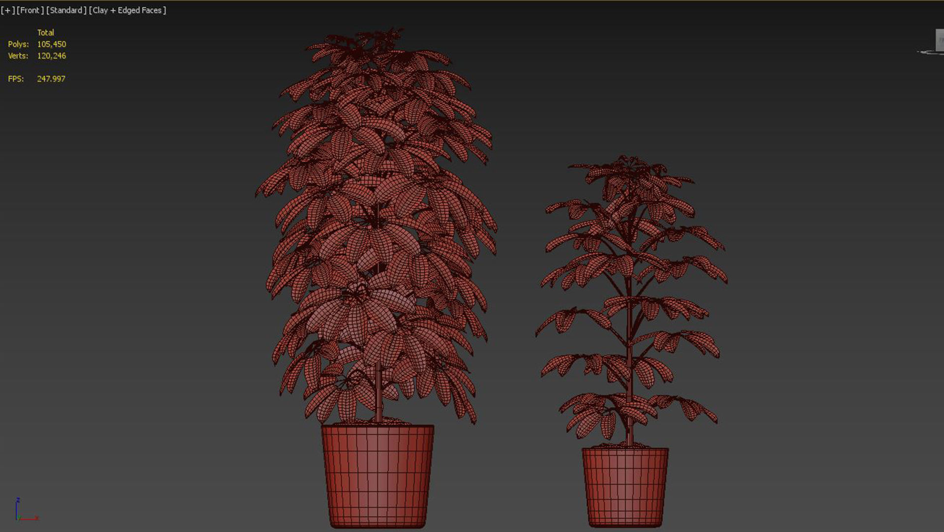 Schefflera Arboricola 3D model | CGTrader
