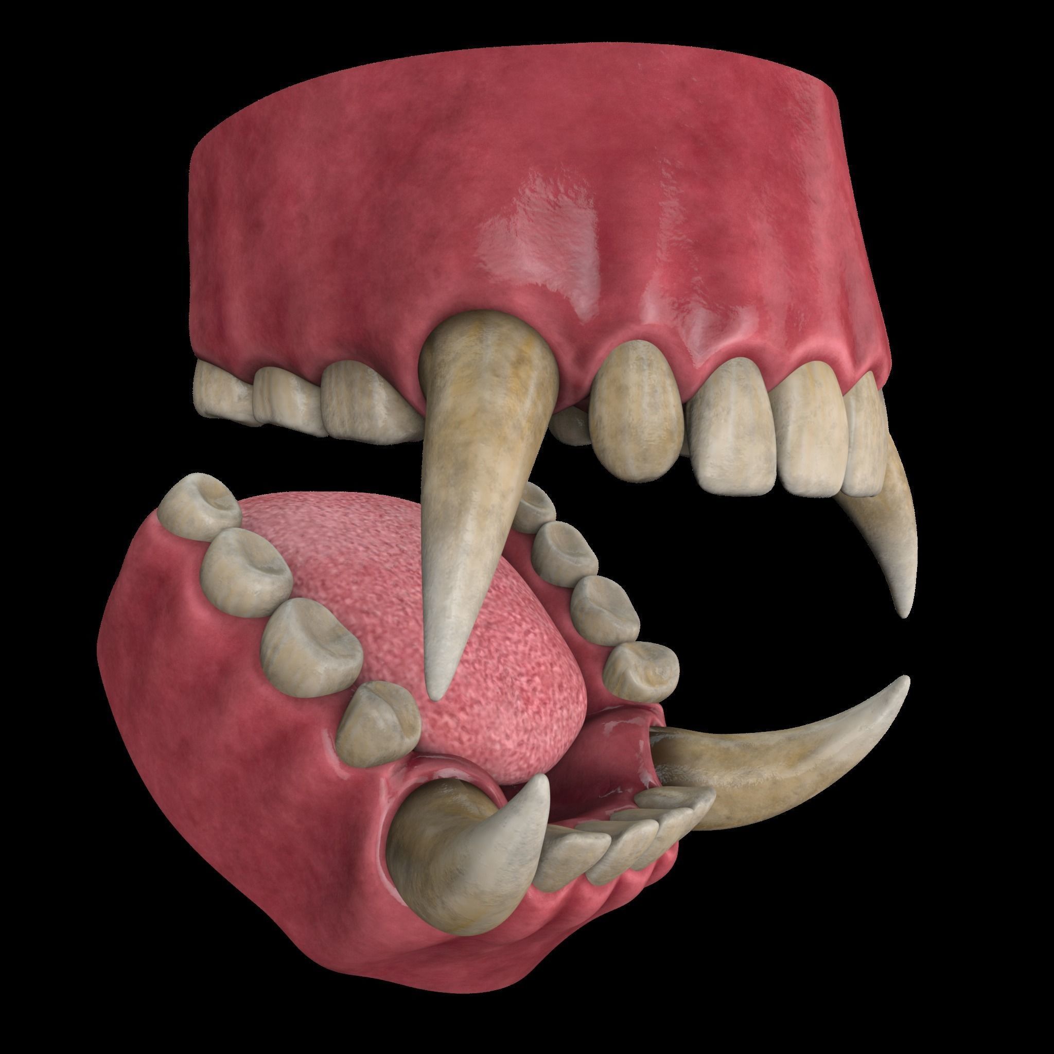 Orc Teeth 3D model | CGTrader