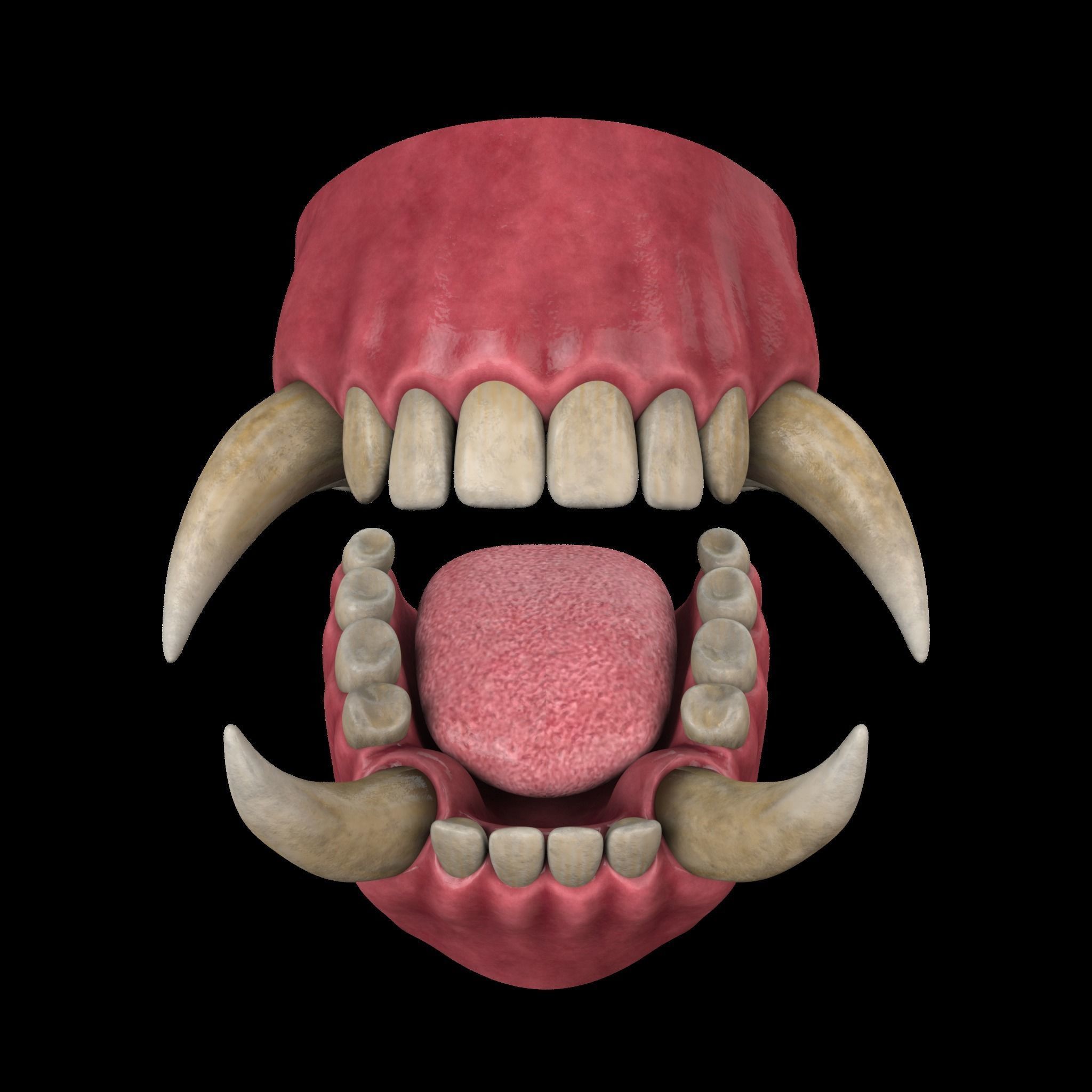 Orc Teeth 3D model | CGTrader
