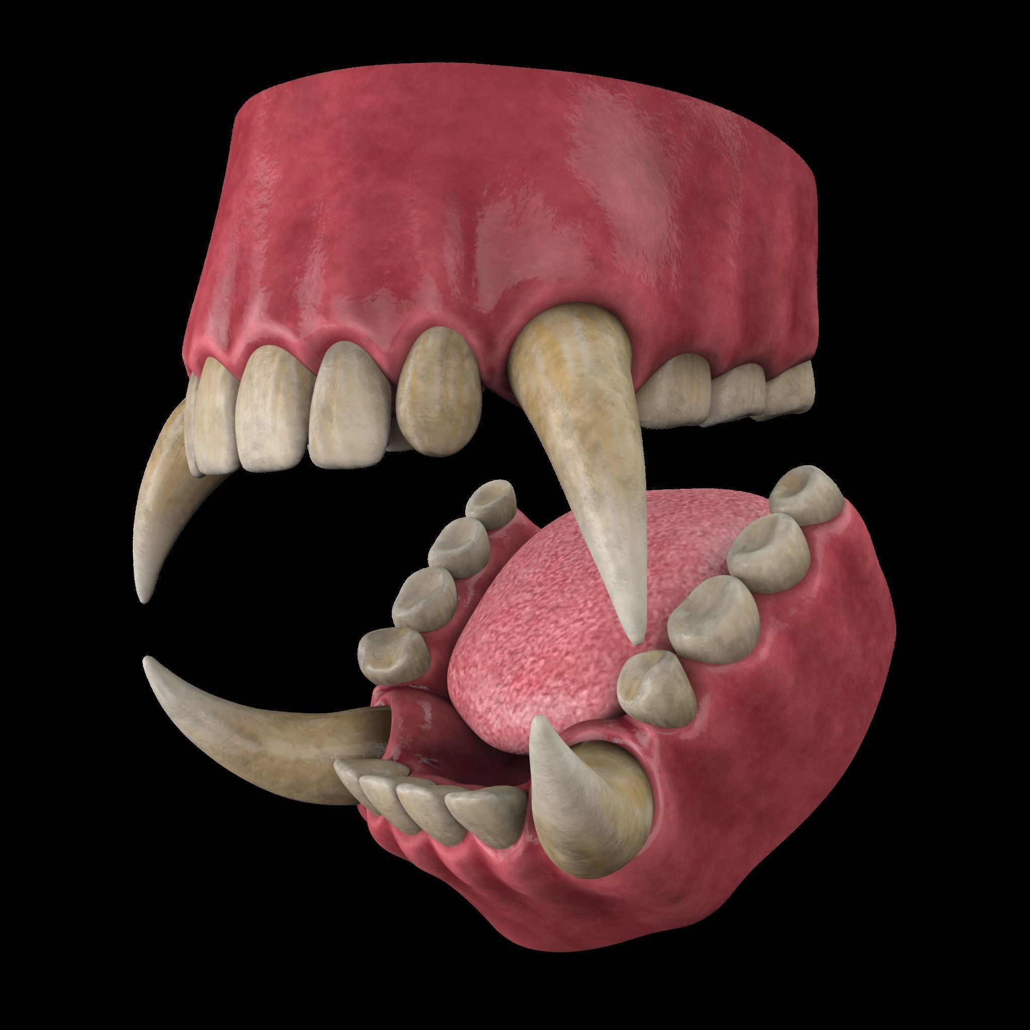 Orc Teeth 3D model | CGTrader