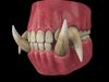 Orc Teeth 3D model | CGTrader