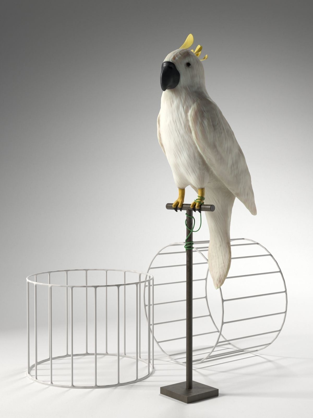Decorative Parrot Stand 3D model | CGTrader