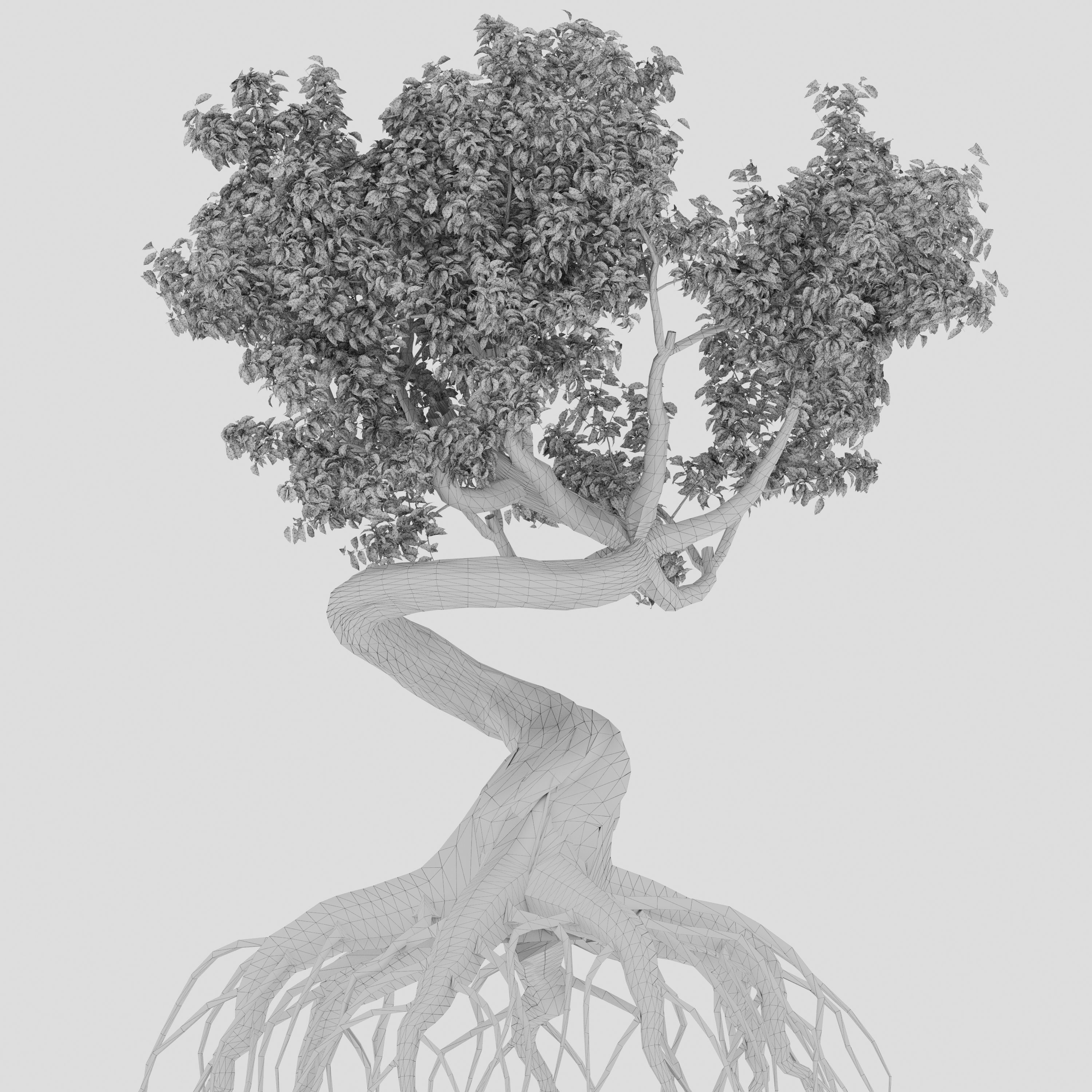 Olive tree for landscape 3D model | CGTrader