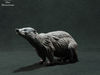 European Badger 3D model 3D printable | CGTrader