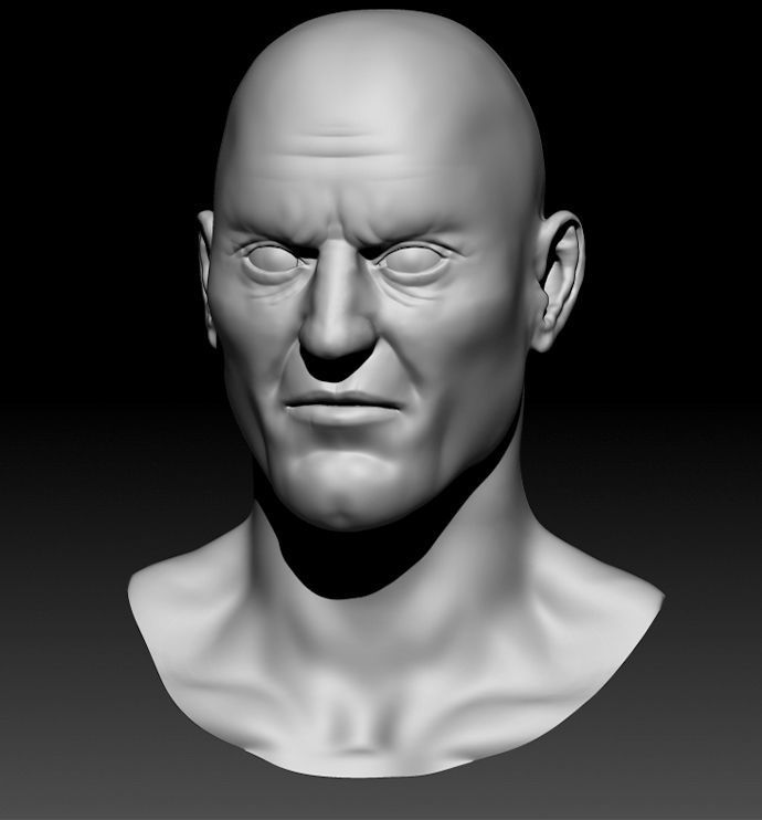 3d male head sculpt zbrush 3D model | CGTrader