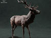 Red Deer Stag 3D model 3D printable | CGTrader