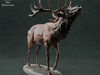Red Deer Stag Call 3D model 3D printable | CGTrader