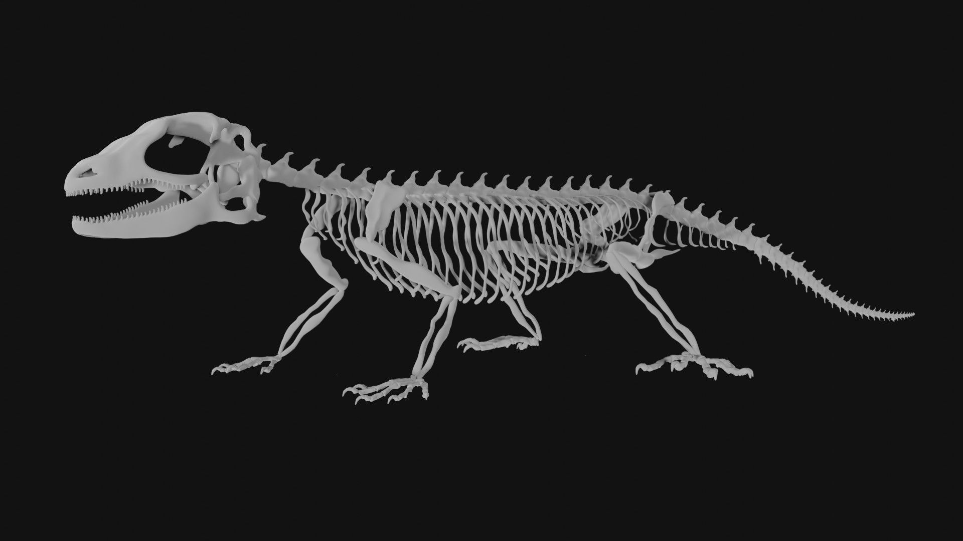 Lizard skeleton 3D model | CGTrader