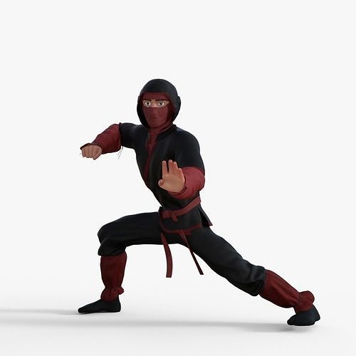 Ninja Character Rigged 3D model rigged | CGTrader