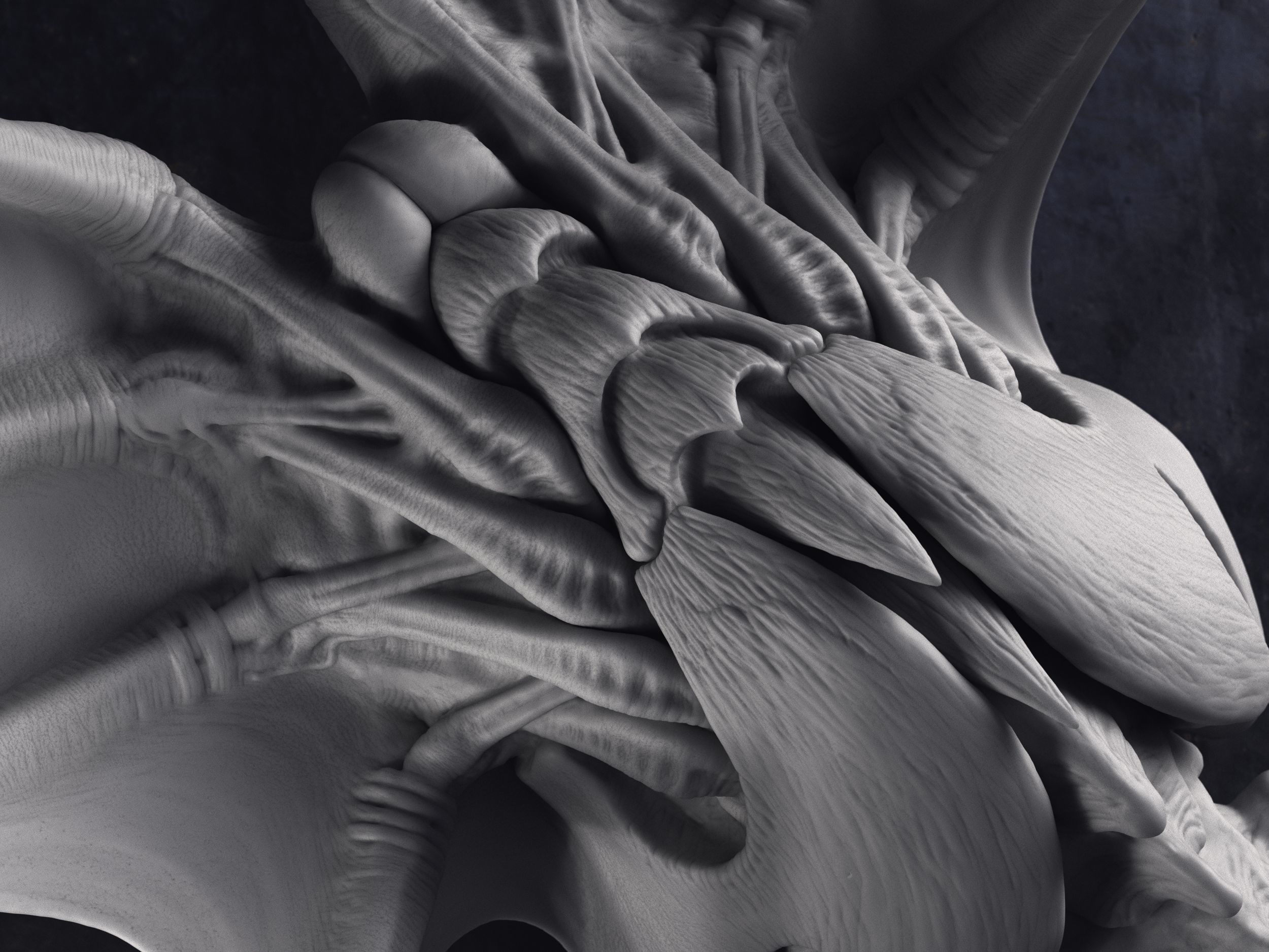 Alien Queen FaceHugger Sculpture Printable 3D Model 3D model 3D ...