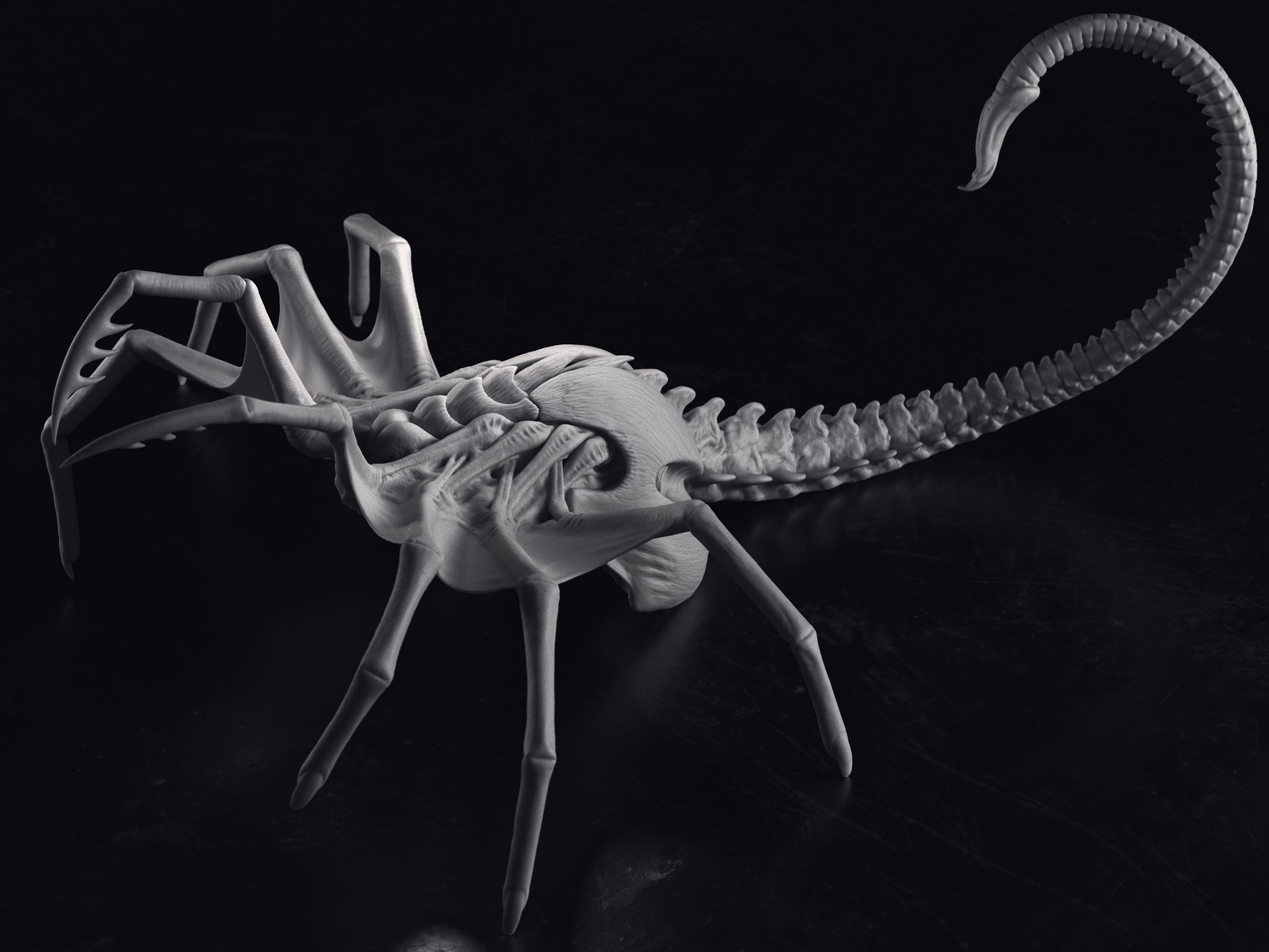 Alien Queen FaceHugger Sculpture Printable 3D Model 3D model 3D ...