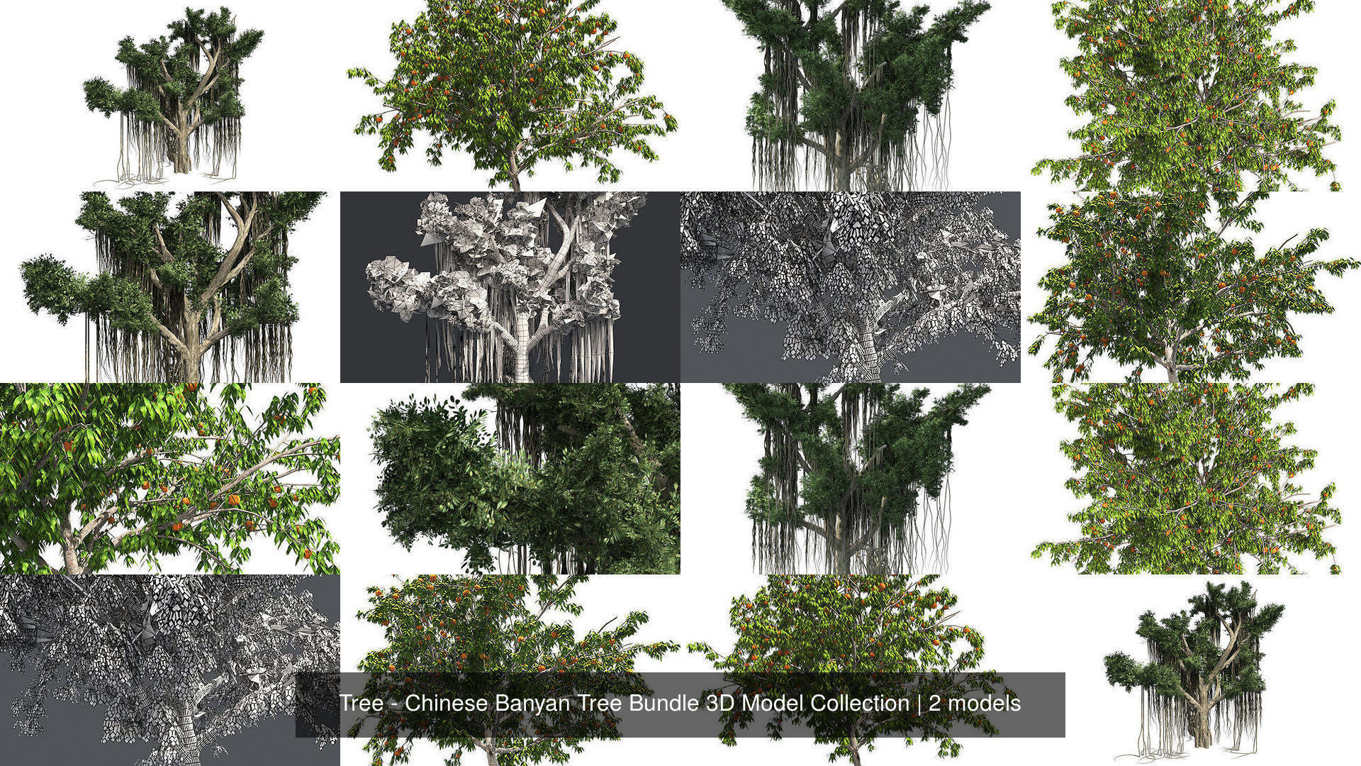 Tree - Chinese Banyan Tree Bundle 3D Model Collection VR / AR / low ...