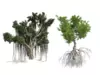 3D Model Pack Red Mangrove - Chinese Banyan Tree Bundle 3D Model ...