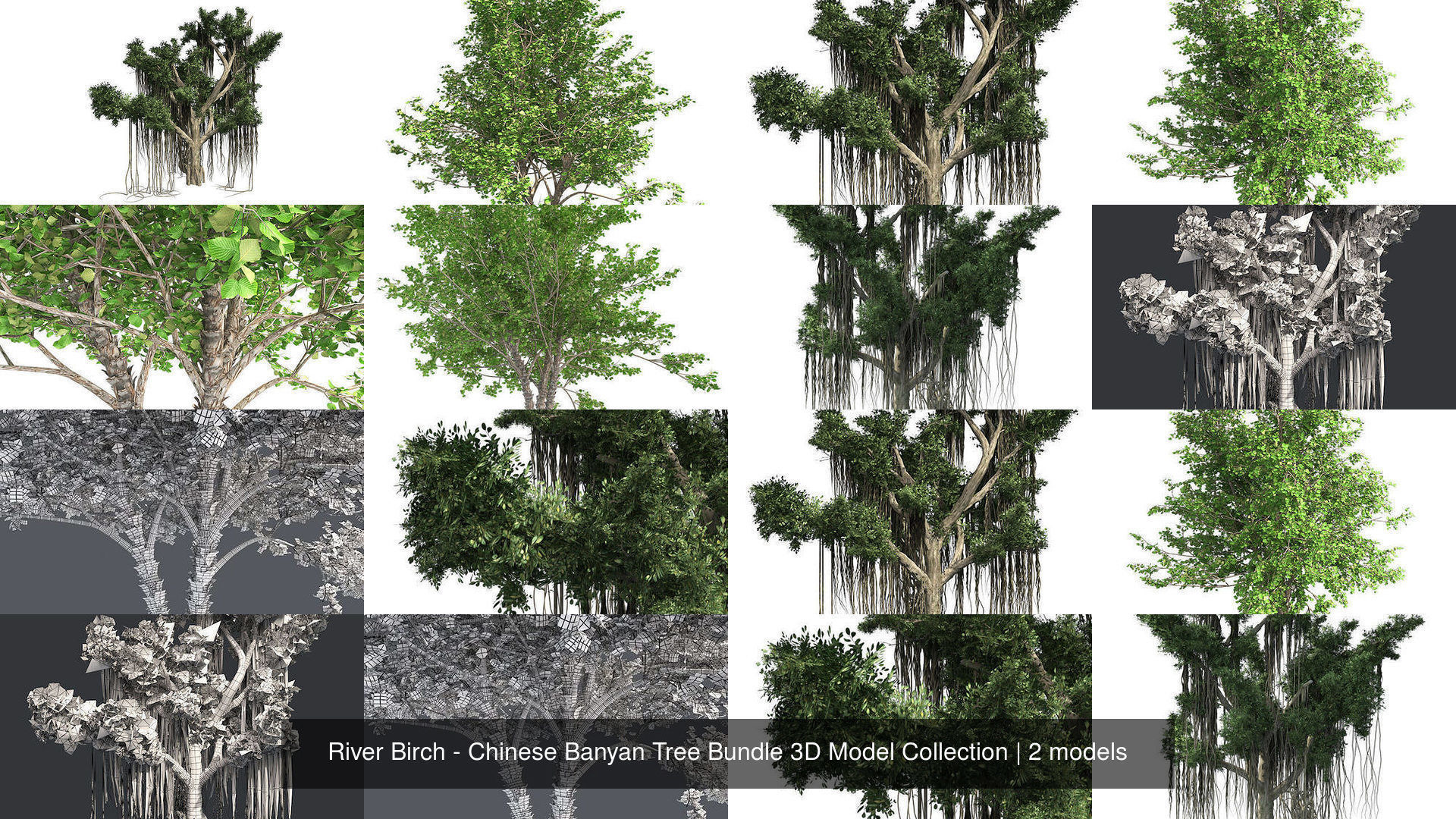River Birch - Chinese Banyan Tree Bundle 3D Model Collection VR / AR ...