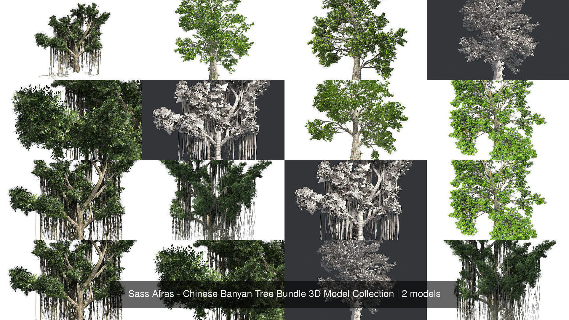 Sass Afras - Chinese Banyan Tree Bundle 3D Model Collection VR / AR ...