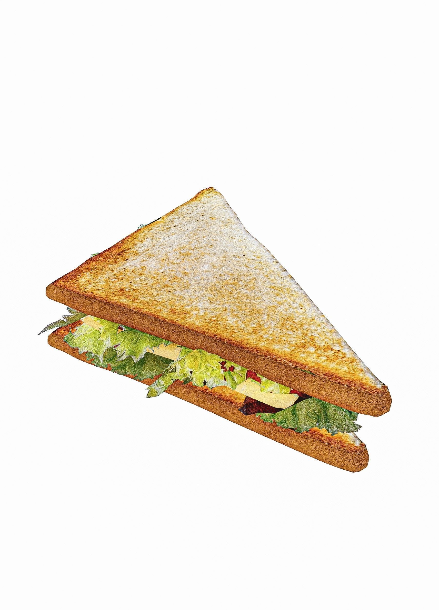 Sandwhich Pack 3D model | CGTrader