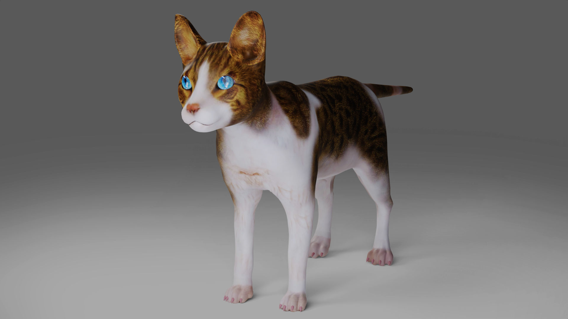 3D model Calico Cat Rigged V3 in Blender VR / AR / low-poly | CGTrader