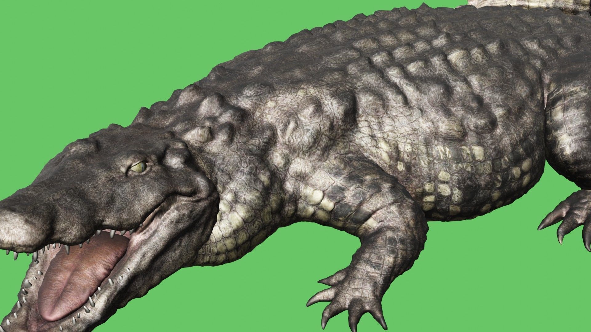 3D model 3D Model crocodile alligator Low-poly 3D model VR / AR / low ...