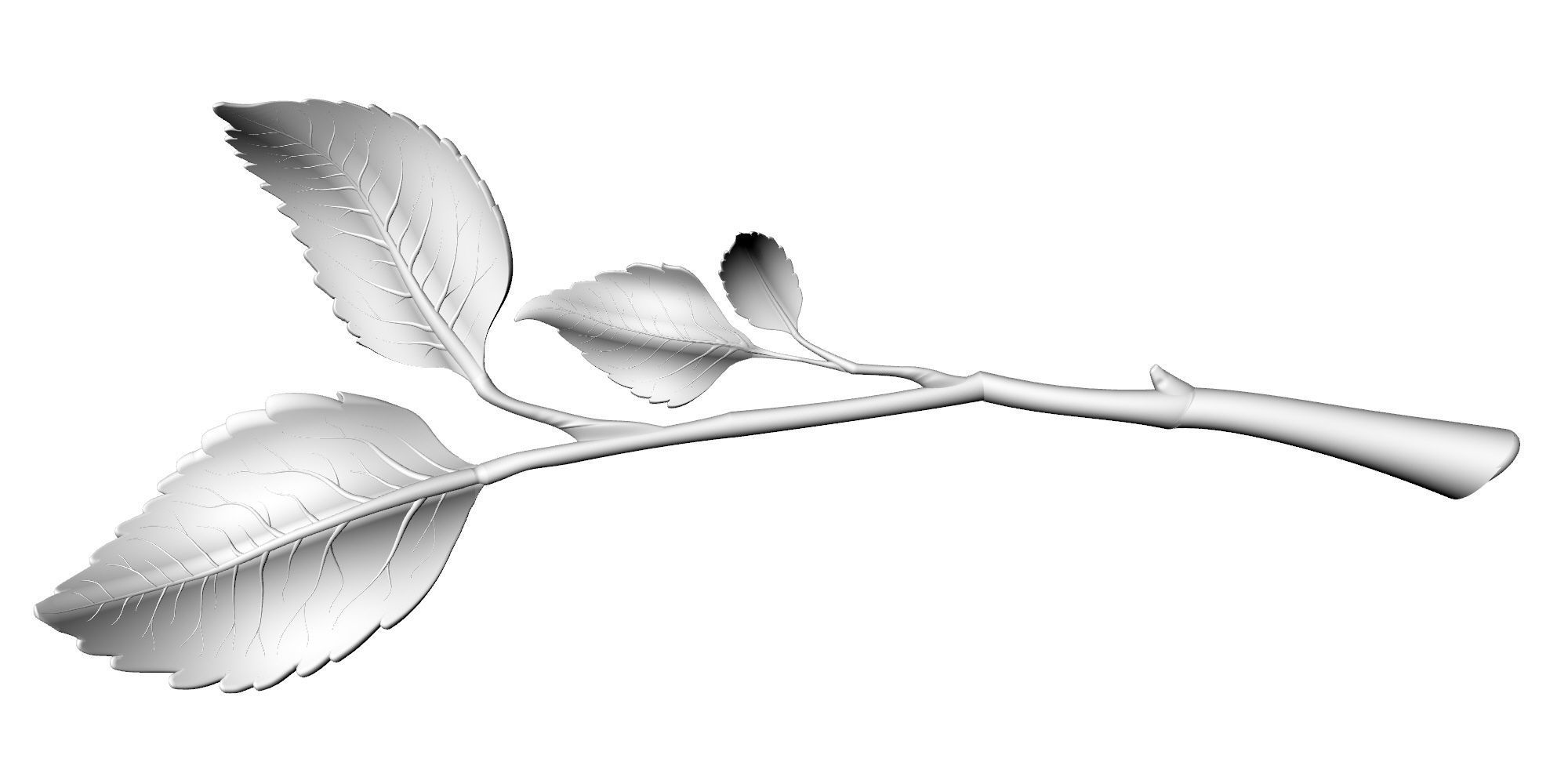 Leaves Branch 3D model | CGTrader