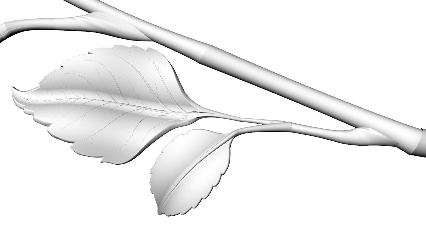 Leaves Branch 3D model | CGTrader