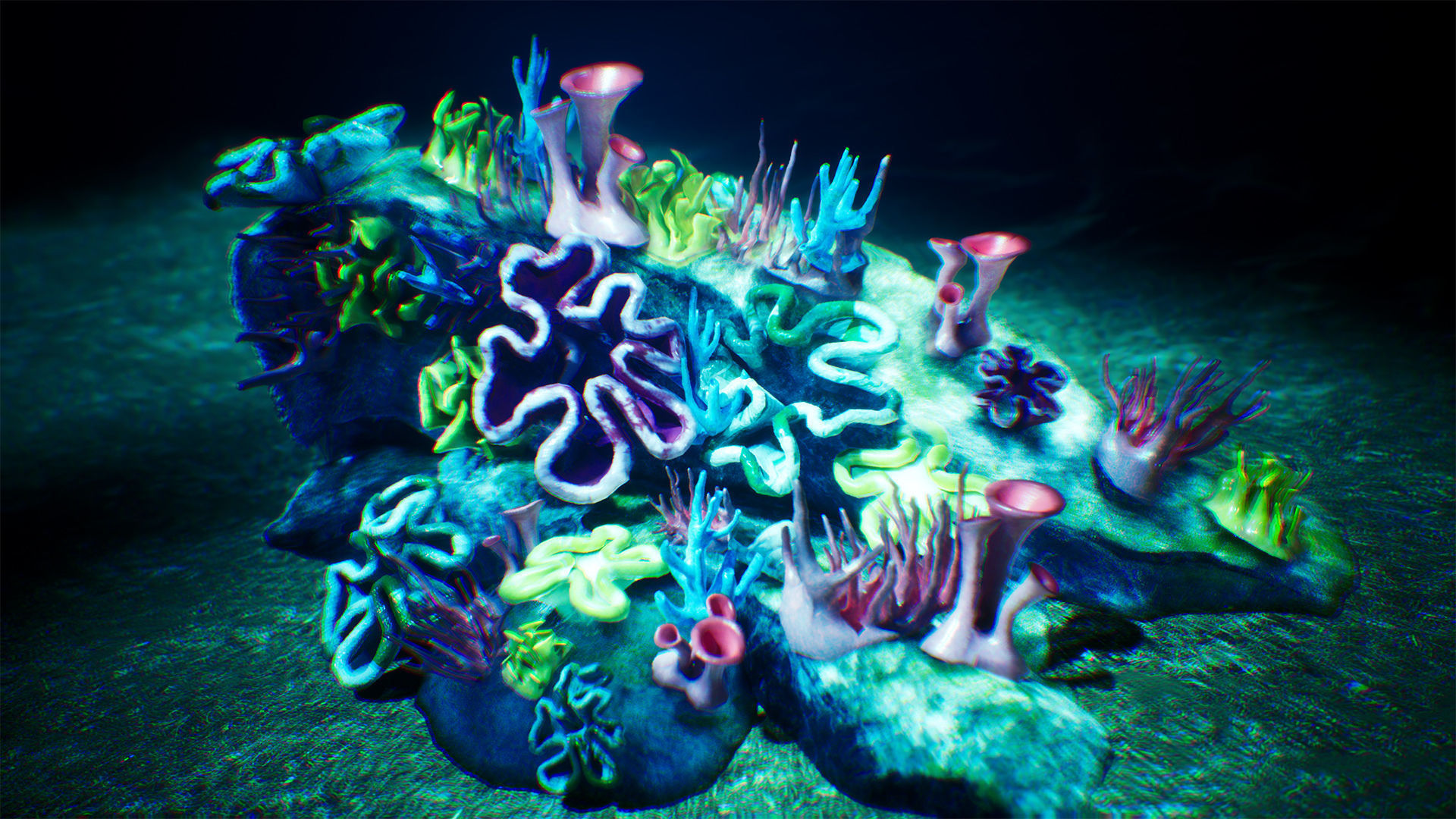 3D model Coral Props 40 Assets VR / AR / low-poly | CGTrader