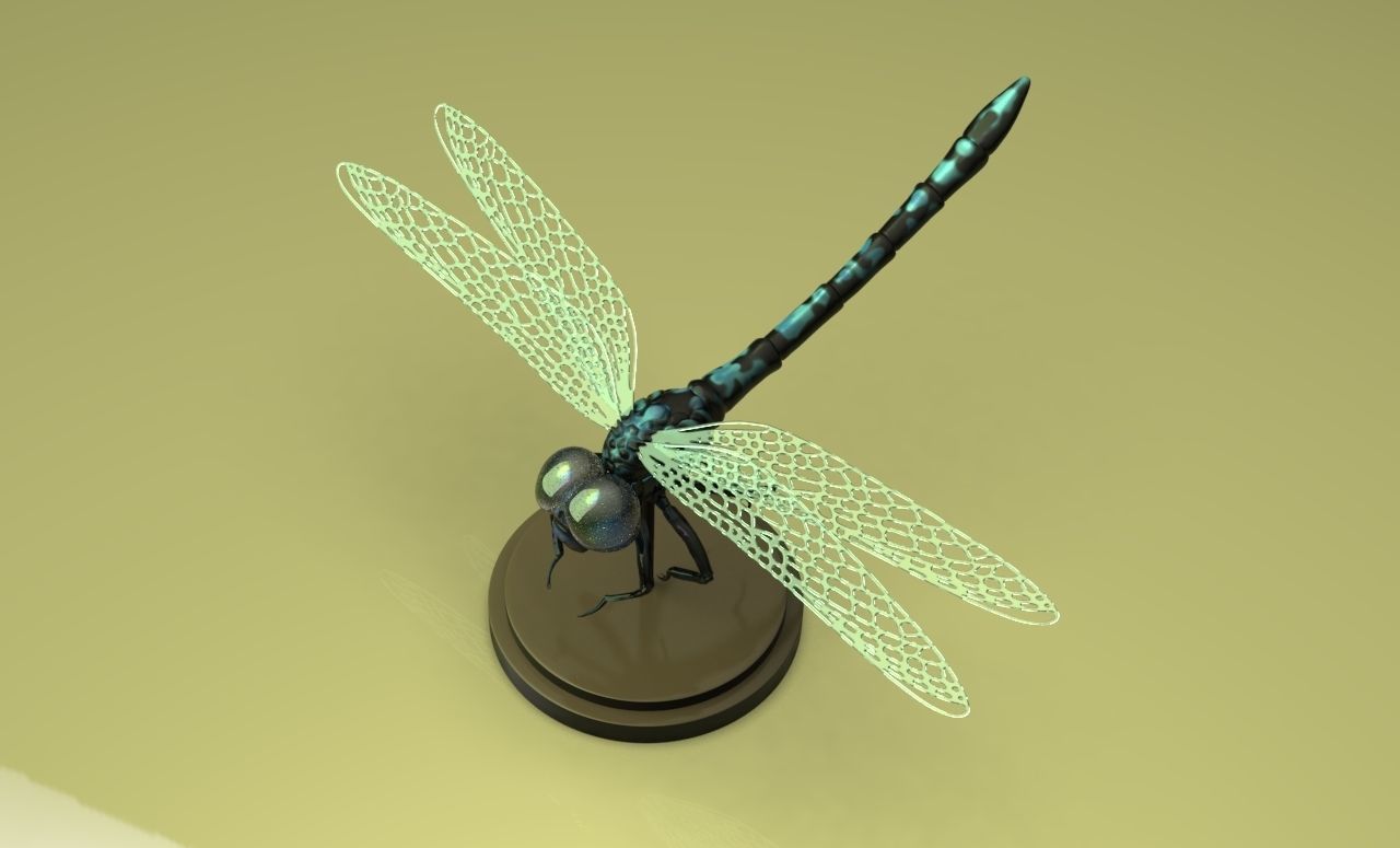The DragonFly 3D model 3D printable | CGTrader